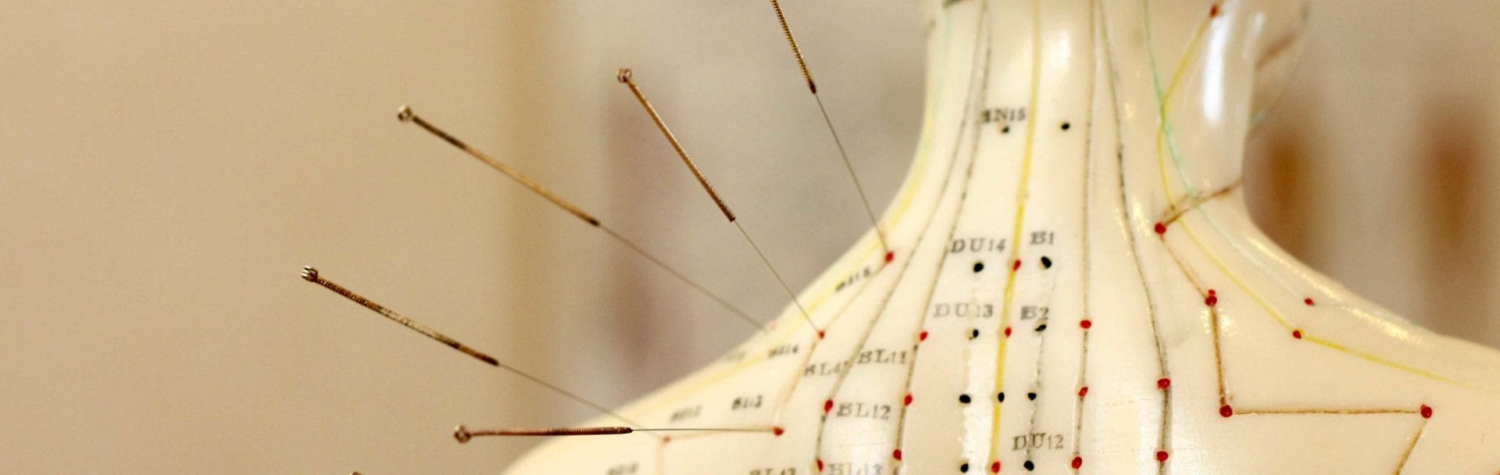 About TCM - Vancouver Acupuncture & Herb